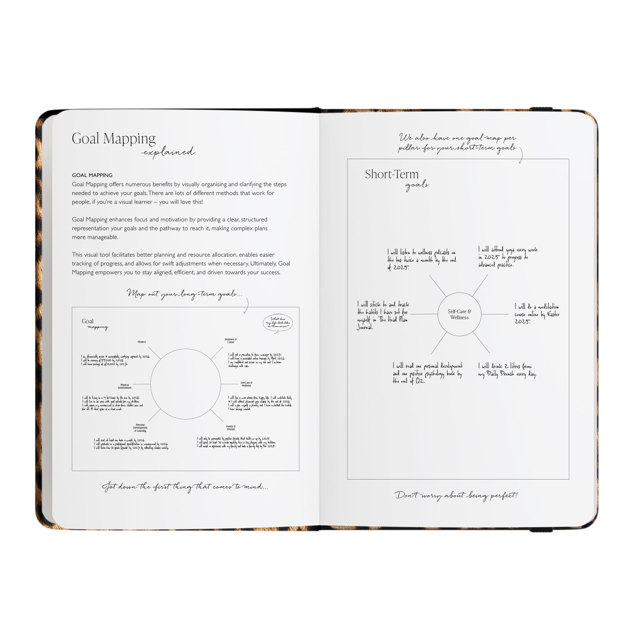 The Head Plan Journal